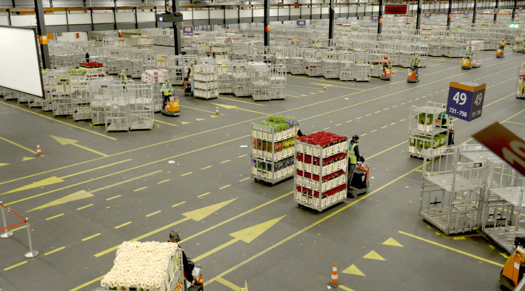 Premium Rush: Inside Air Cargo Singapore – Content Distribution