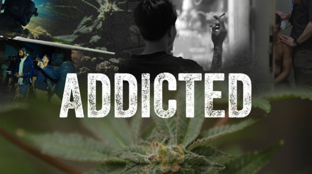 Addicted – Content Distribution