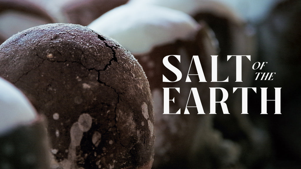 Salt of the Earth – Content Distribution