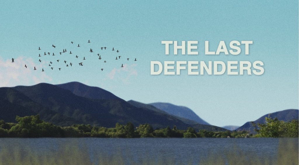 The Last Defenders – Content Distribution