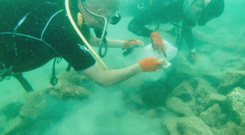 Climate Change: A Wicked Problem – Content Distribution