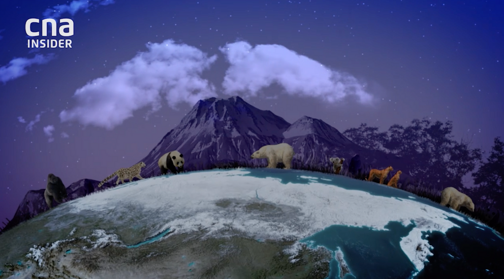The Mass Extinction – Content Distribution